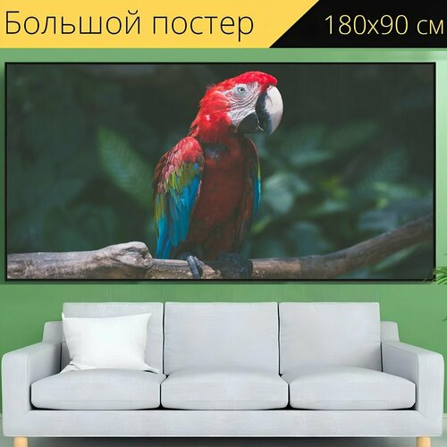 Большой постер "Животное, птичий, птица" 180 x 90 см. для интерьера