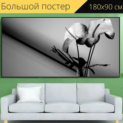 Большой постер "Природа, цветы, белый цветок" 180 x 90 см. для интерьера