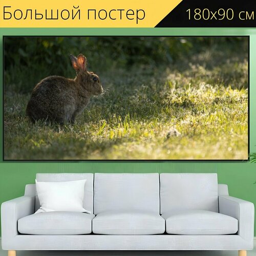 Большой постер "Кролики, лужайка, природа" 180 x 90 см. для интерьера