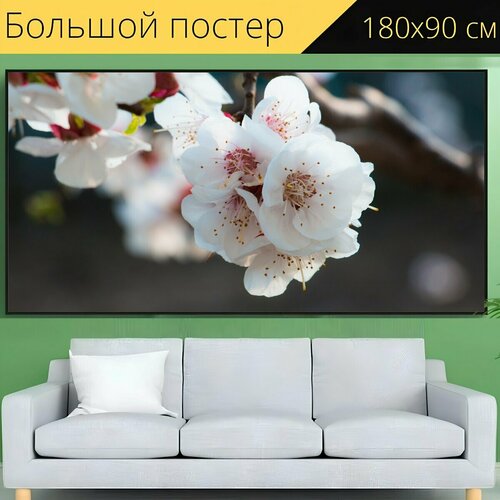 Большой постер "Персиковый цветок, цветок, весна" 180 x 90 см. для интерьера