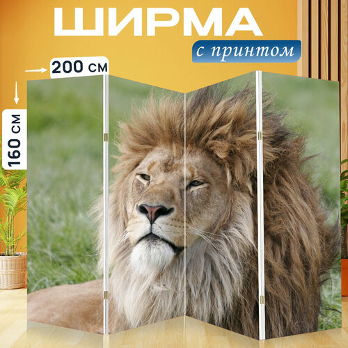Ширма перегородка с принтом "Лев, африка, животное" на холсте - 200x160 см. для зонирования, раскладная