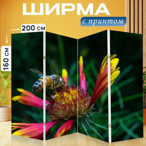 Ширма перегородка с принтом "Пчела, зеленый, цветок" на холсте - 200x160 см. для зонирования, раскладная