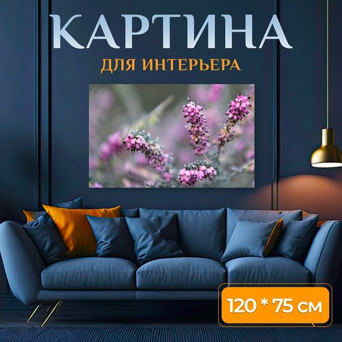 Картина на холсте "Вереск, цветок, розовый" на подрамнике 120х75 см. для интерьера