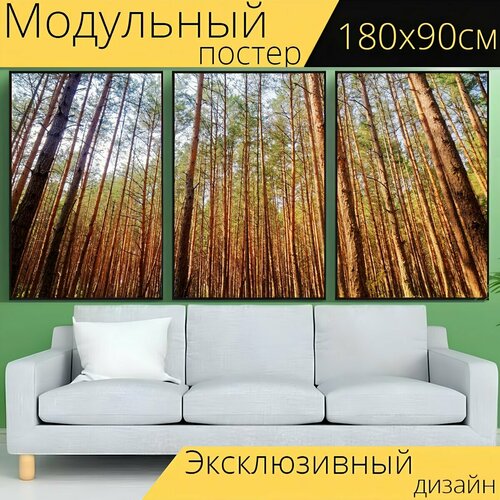 Модульный постер "Пейзаж, природа, лес" 180 x 90 см. для интерьера