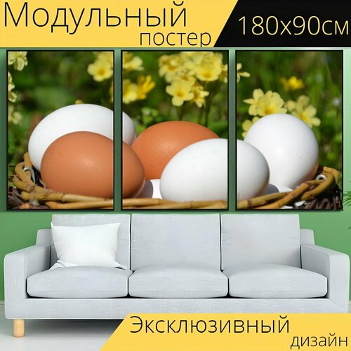 Модульный постер "Яйцо, яйца, белый" 180 x 90 см. для интерьера