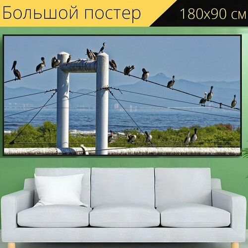 Большой постер "Птицы, пеликаны, животные" 180 x 90 см. для интерьера