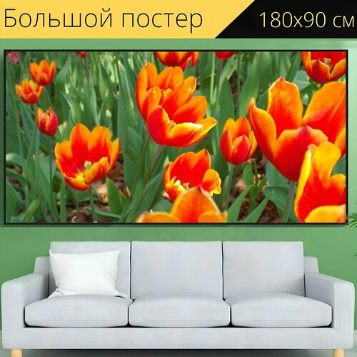 Большой постер "Цветы, тюльпаны, лепестки" 180 x 90 см. для интерьера