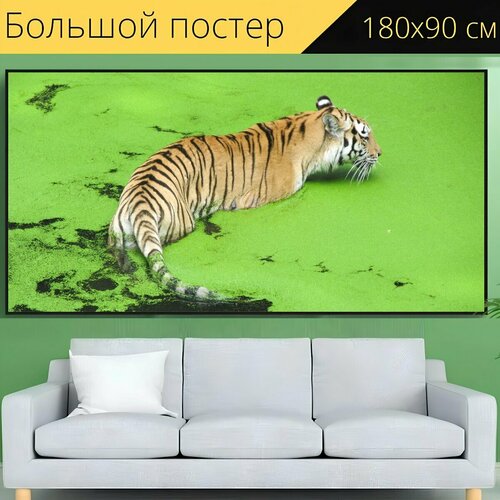 Большой постер "Зоопарк, тигр, хищник" 180 x 90 см. для интерьера