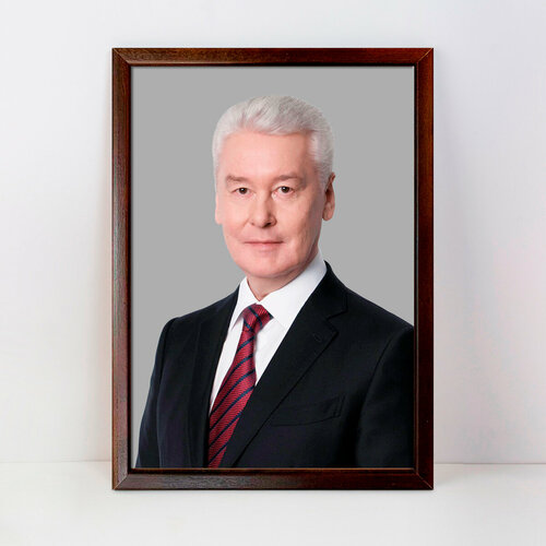 Портрет Собянина С. С. в рамке под дерево / А-3 (30x42 см.)