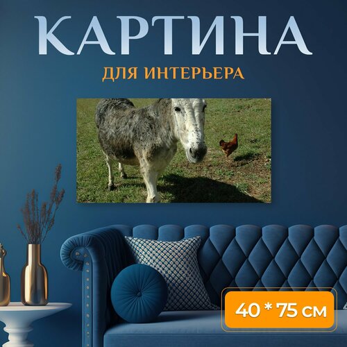 Картина на холсте "Домашний осёл, курица, животные" на подрамнике 75х40 см. для интерьера