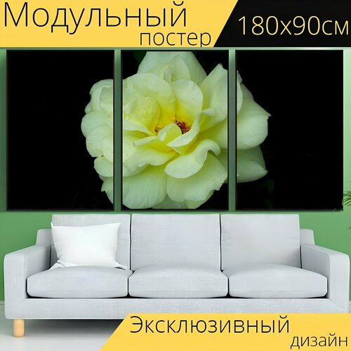 Модульный постер "Роза, цветы, завод" 180 x 90 см. для интерьера