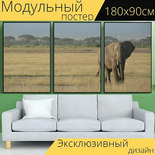 Модульный постер "Слон, кения, африка" 180 x 90 см. для интерьера