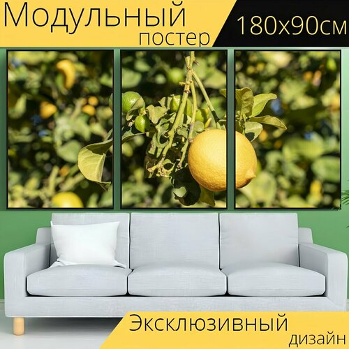 Модульный постер "Фрукты, лимон, жизнь" 180 x 90 см. для интерьера