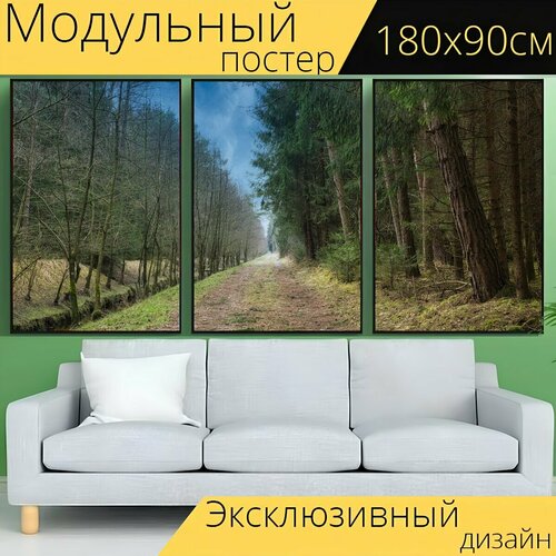 Модульный постер "Дорожка, лесная тропа, лес" 180 x 90 см. для интерьера