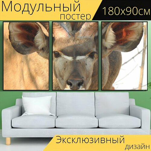 Модульный постер "Животное, млекопитающее, антилопа" 180 x 90 см. для интерьера