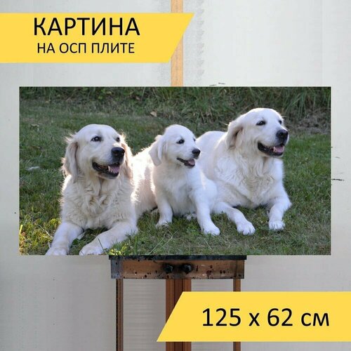 Картина на ОСП 125х62 см. "Собака собаки, щенок, молодая собака" горизонтальная, для интерьера, с креплениями