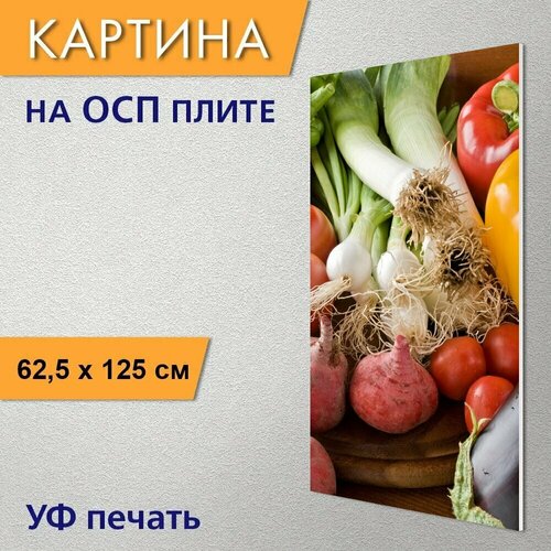 Вертикальная картина на ОСП "Овощи, баклажаны, еда" 62x125 см. для интерьериа