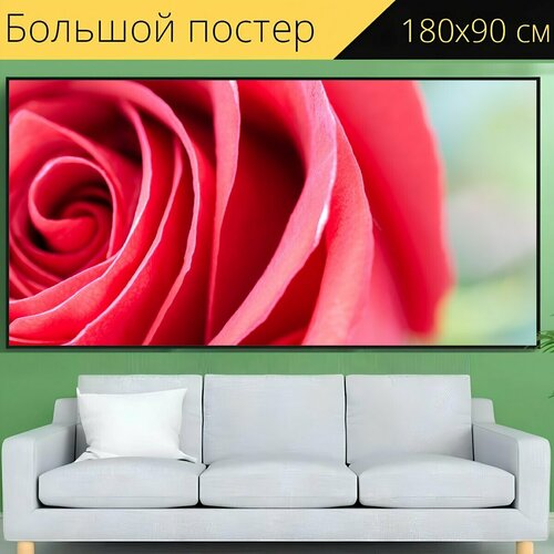 Большой постер "Цветок, роза, макрос" 180 x 90 см. для интерьера