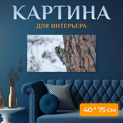 Картина на холсте "Птица, дятел, перья" на подрамнике 75х40 см. для интерьера