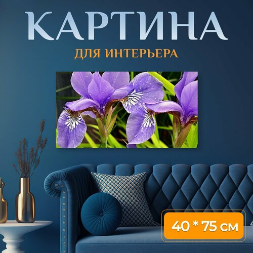 Картина на холсте "Косатки, сад, цветок" на подрамнике 75х40 см. для интерьера