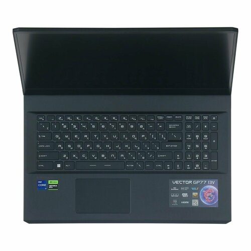 17.3" Ноутбук MSI Vector GP77 13VG-060XRU (Intel i7-13700H, RTX 4070, 16GB RAM, SSD 1TB, 2560x1440 240Hz, Win 11 Home, Black)