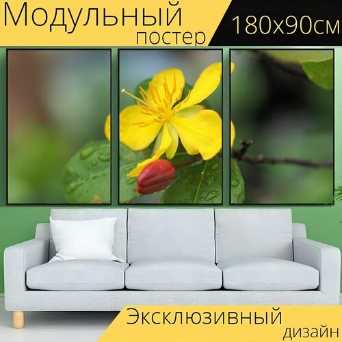 Модульный постер "Маленький желтый цветок, дикий, природа" 180 x 90 см. для интерьера