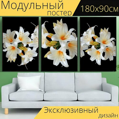 Модульный постер "Цветы, белый, лилии" 180 x 90 см. для интерьера