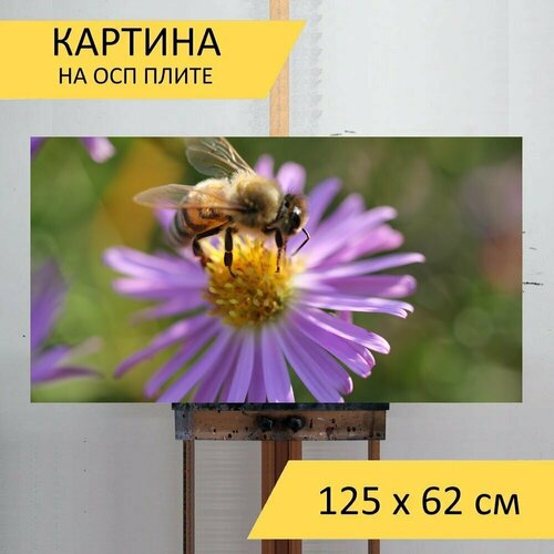 Картина на ОСП 125х62 см. "Пчела, цветочная пыльца, опылять" горизонтальная, для интерьера, с креплениями