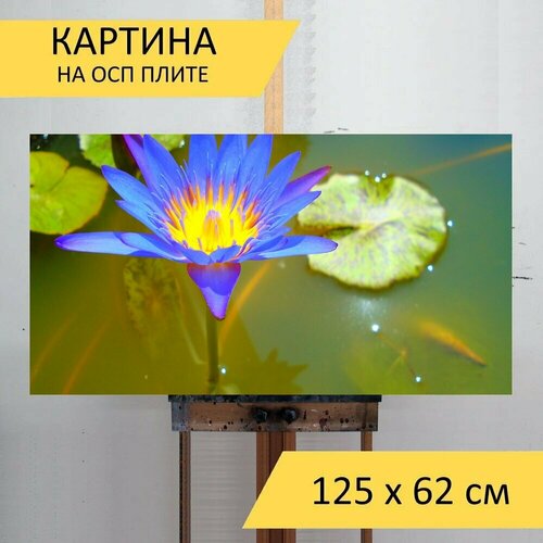 Картина на ОСП 125х62 см. "Цветок, крупным планом, воды" горизонтальная, для интерьера, с креплениями