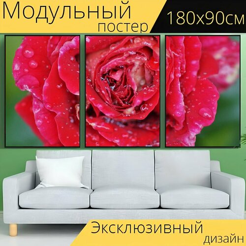 Модульный постер "Розы, красный, цвести" 180 x 90 см. для интерьера
