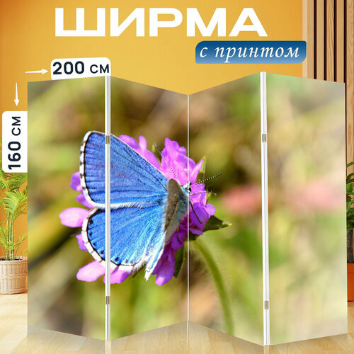 Ширма перегородка с принтом "Бабочка, цветок, природа" на холсте - 200x160 см. для зонирования, раскладная