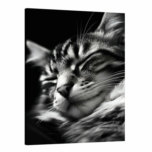 Интерьерная картина 50х70 "Мурлыкающий кот"