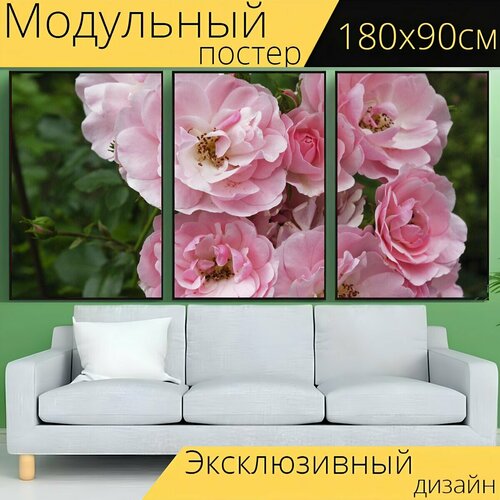 Модульный постер "Цветок, розы, сад" 180 x 90 см. для интерьера