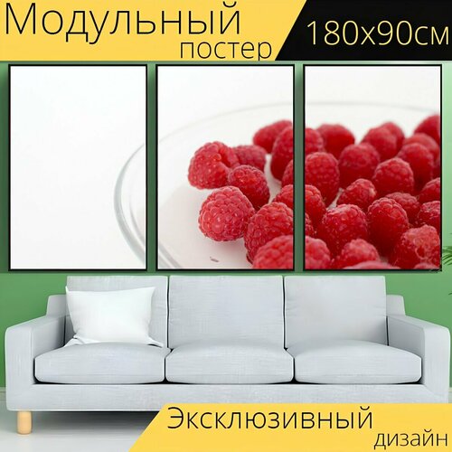 Модульный постер "Малина, фрукты, здоровый" 180 x 90 см. для интерьера