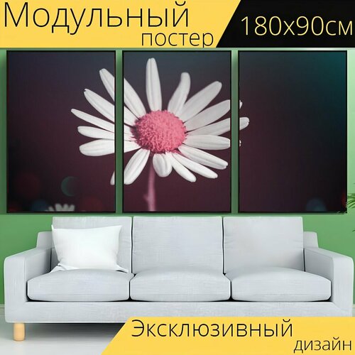 Модульный постер "Белые цветки, красивые цветы, букет цветов" 180 x 90 см. для интерьера