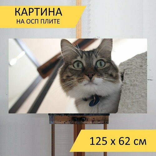 Картина на ОСП 125х62 см. "Кошка на шаг, кошка, шаг" горизонтальная, для интерьера, с креплениями