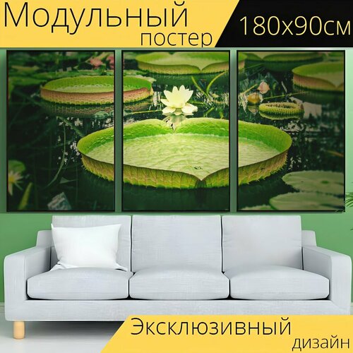 Модульный постер "Водяная лилия, цветок, пруд" 180 x 90 см. для интерьера