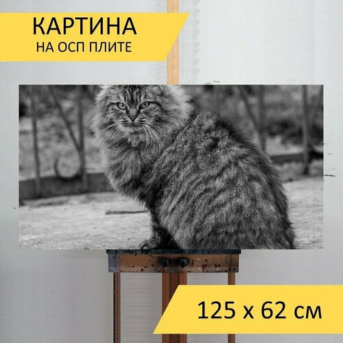 Картина на ОСП 125х62 см. "Кошка, кот, черный и белый" горизонтальная, для интерьера, с креплениями
