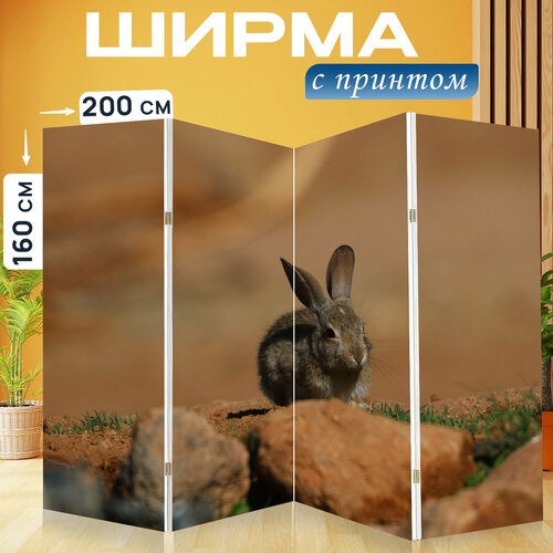 Ширма перегородка с принтом "Кролик, заяц, животное" на холсте - 200x160 см. для зонирования, раскладная