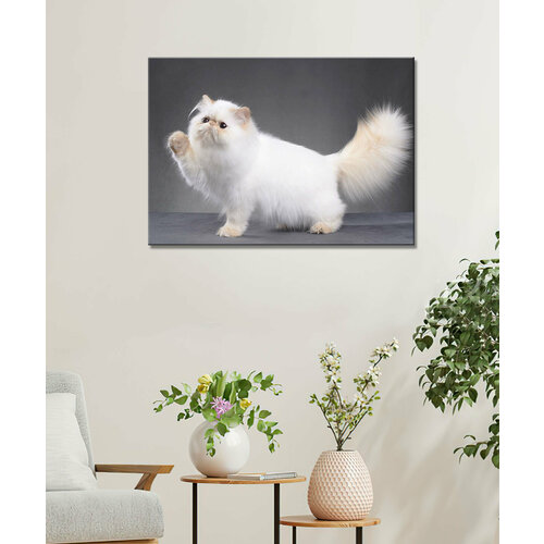 Картина - кошка, персидская кошка, домашняя кошка, ласковая кошка, кот (305) 60х80