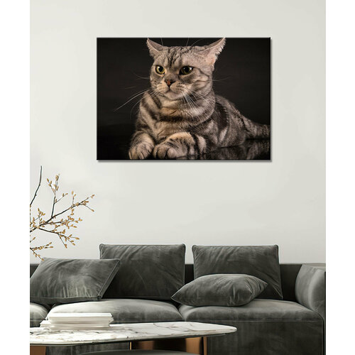 Картина - кошка, американская короткошёрстная кошка, домашняя кошка, ласковая кошка, кот (195) 60х80