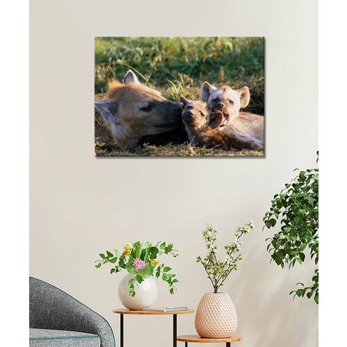 Картина - гиена, гиена в африке, хищная гиена, дикая гиена, гиена в природе (20) 20х30