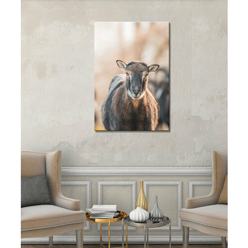 Картина -Коза, козел, безрогая коза, домашняя коза (12) 60х80
