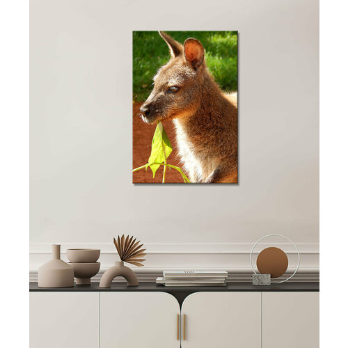 Картина - кенгуру, маленький кенгуру, рыжий кенгуру, кенгуру с листком (31) 40х60