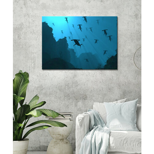 Картина -Акула, акула молот, акула под водой, акула в море, акула в океане (2) 50х70