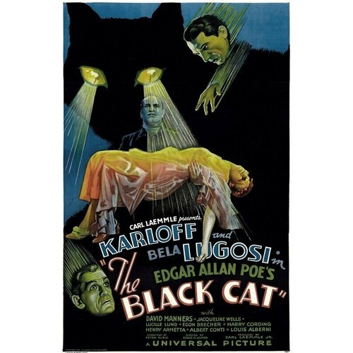 Плакат, постер на холсте Черный кот (The Black Cat), Эдгар Дж. Улмер. Размер 30 х 42 см