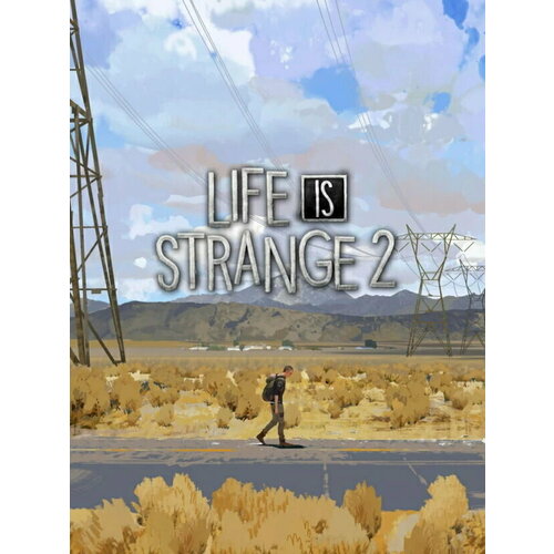 Плакат, постер на бумаге Life Is Strange 2/игровые/игра/компьютерные герои персонажи. Размер 42 х 60 см
