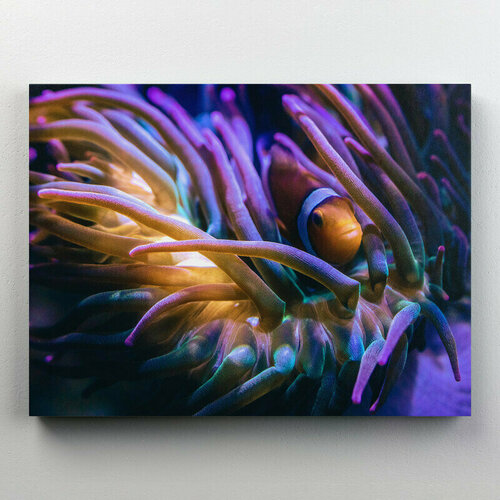 Интерьерная картина на холсте "Рыбка клоун №2", размер 30x22 см