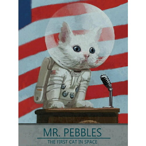 Плакат, постер на холсте Mr. Pebbles-The First Cat In Space/искусство/арт/абстракция/творчество. Размер 42 х 60 см