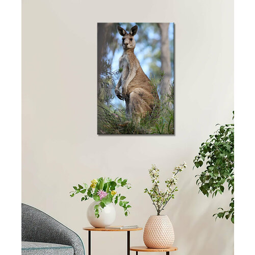 Картина - кенгуру, большой кенгуру, кенгуру в лесу, длинноухий кенгуру (12) 60х80
